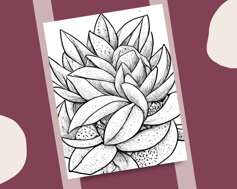 10 Succulents Coloring Pages Succulent Plant Nature Printable Coloring ...