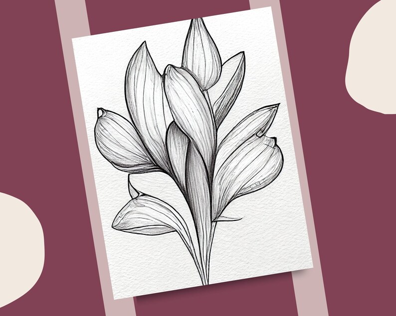 10 Lily Flowers Coloring Pages Natural Theme Flower - Etsy 10 Lily Flowers Coloring Pages Natural Theme Flower - Etsy