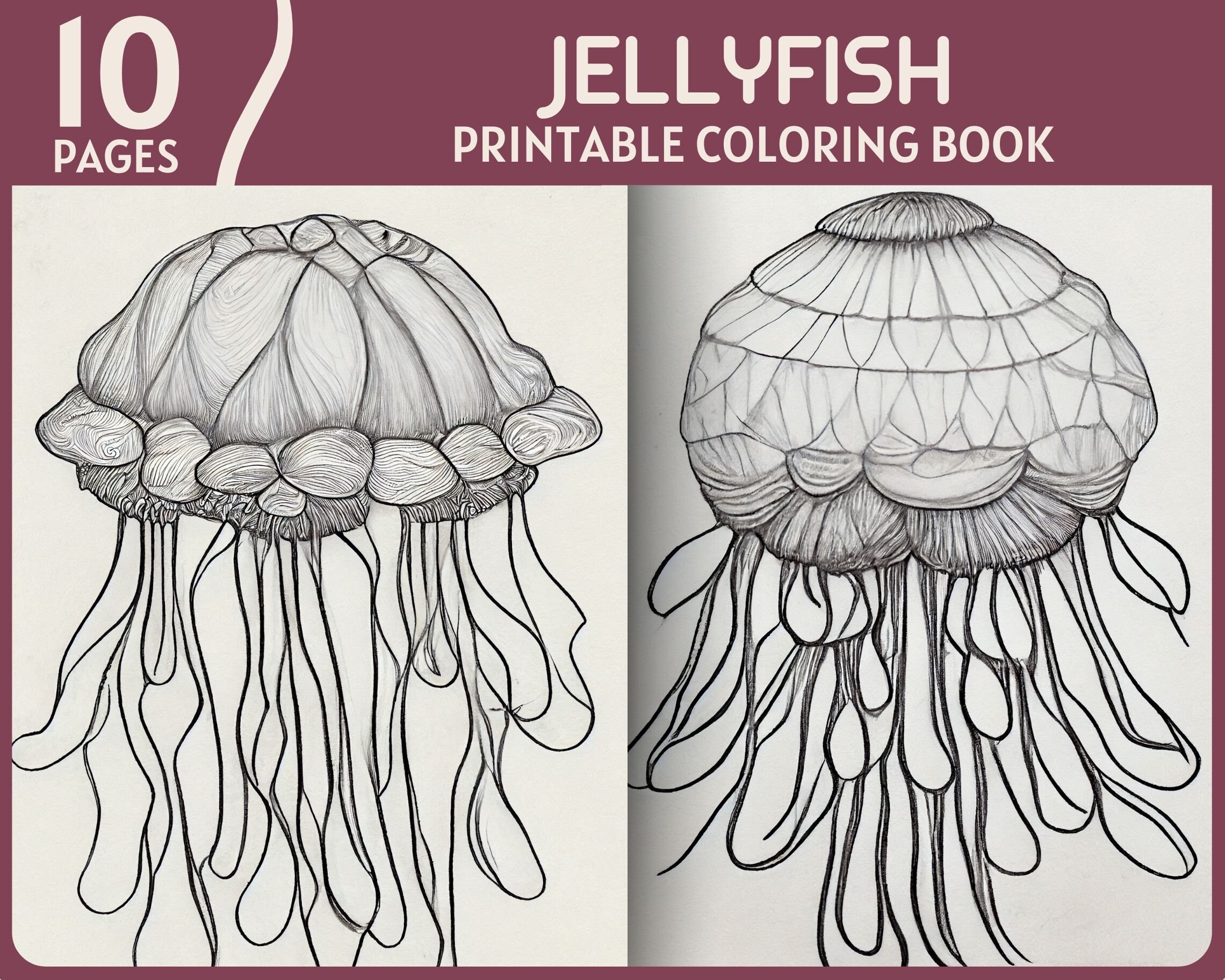Jellyfish Coloring