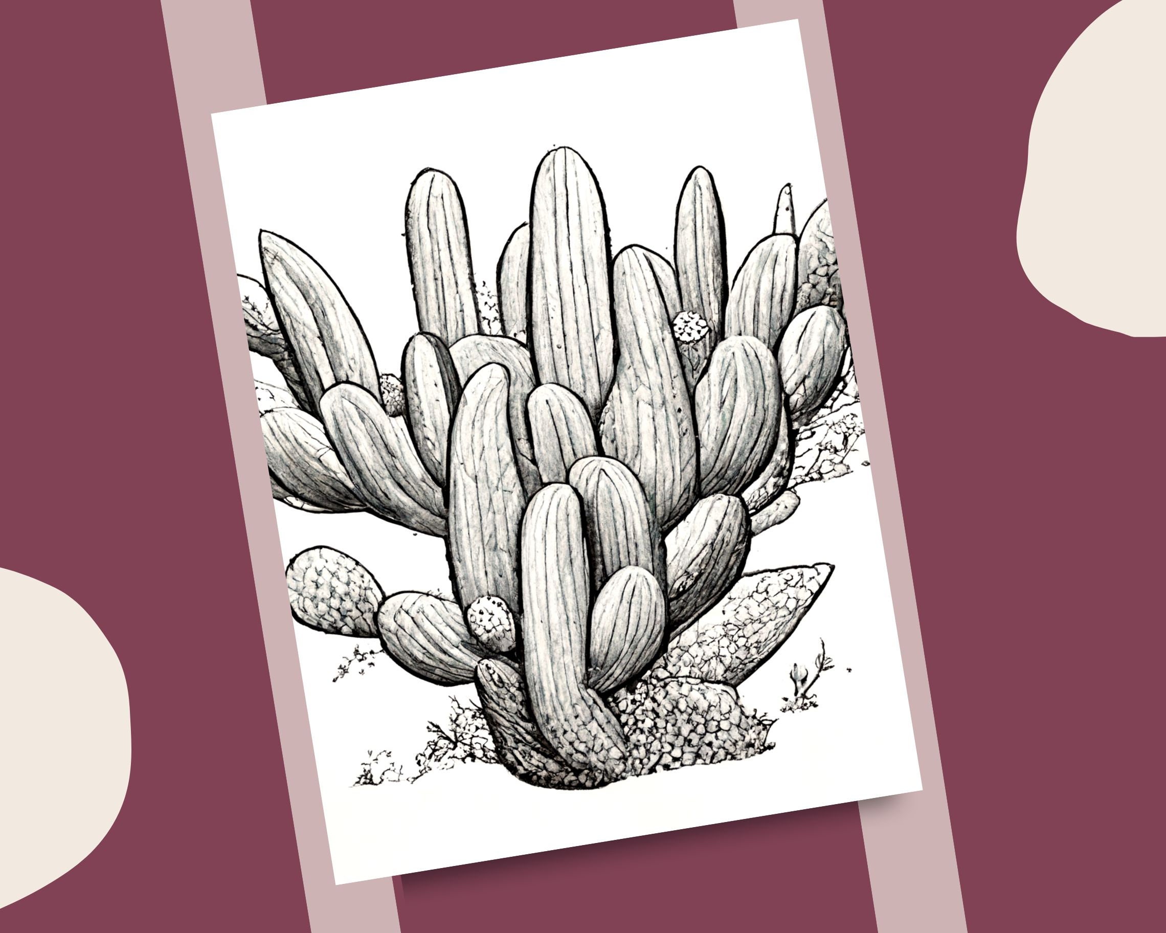 10 Cactus Coloring Pages Realistic Cacti Printable Coloring - Etsy