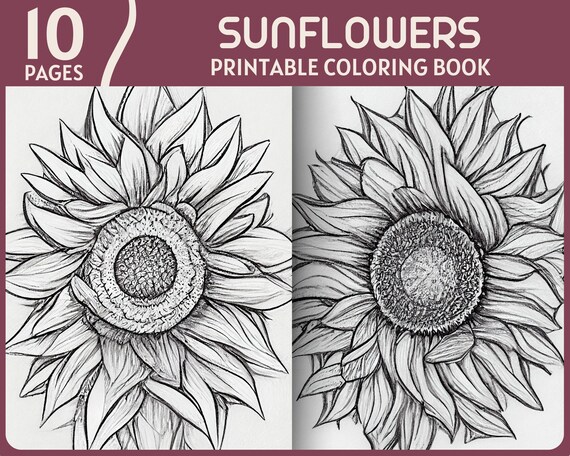 10 Sunflowers Coloring Pages Realistic Hand Drawn Sunflower - Etsy
