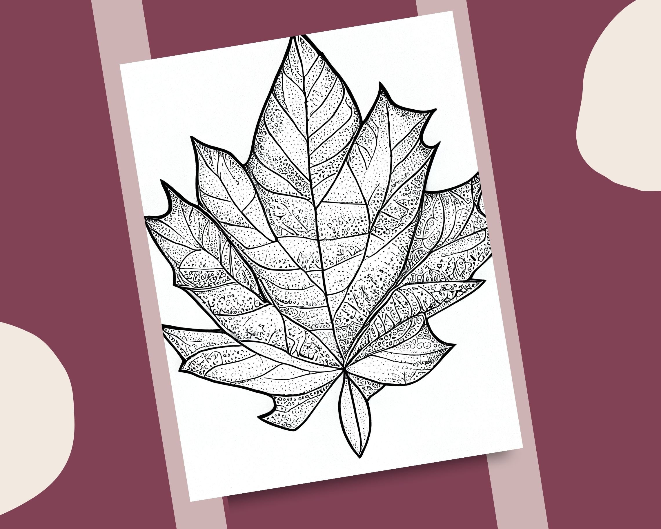 10 Fall Leaves Coloring Pages Natural Leaf Theme Printable Coloring ...