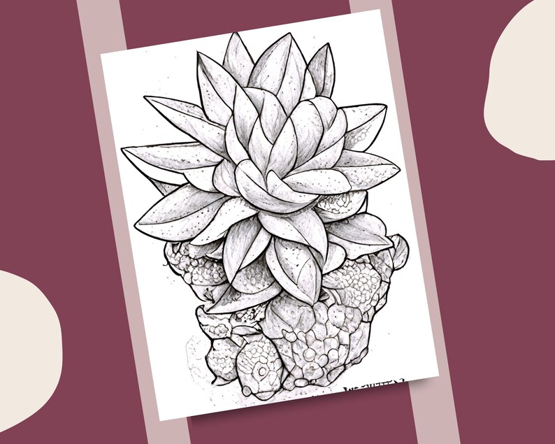 10 Succulents Coloring Pages Succulent Plant Nature Printable Coloring ...