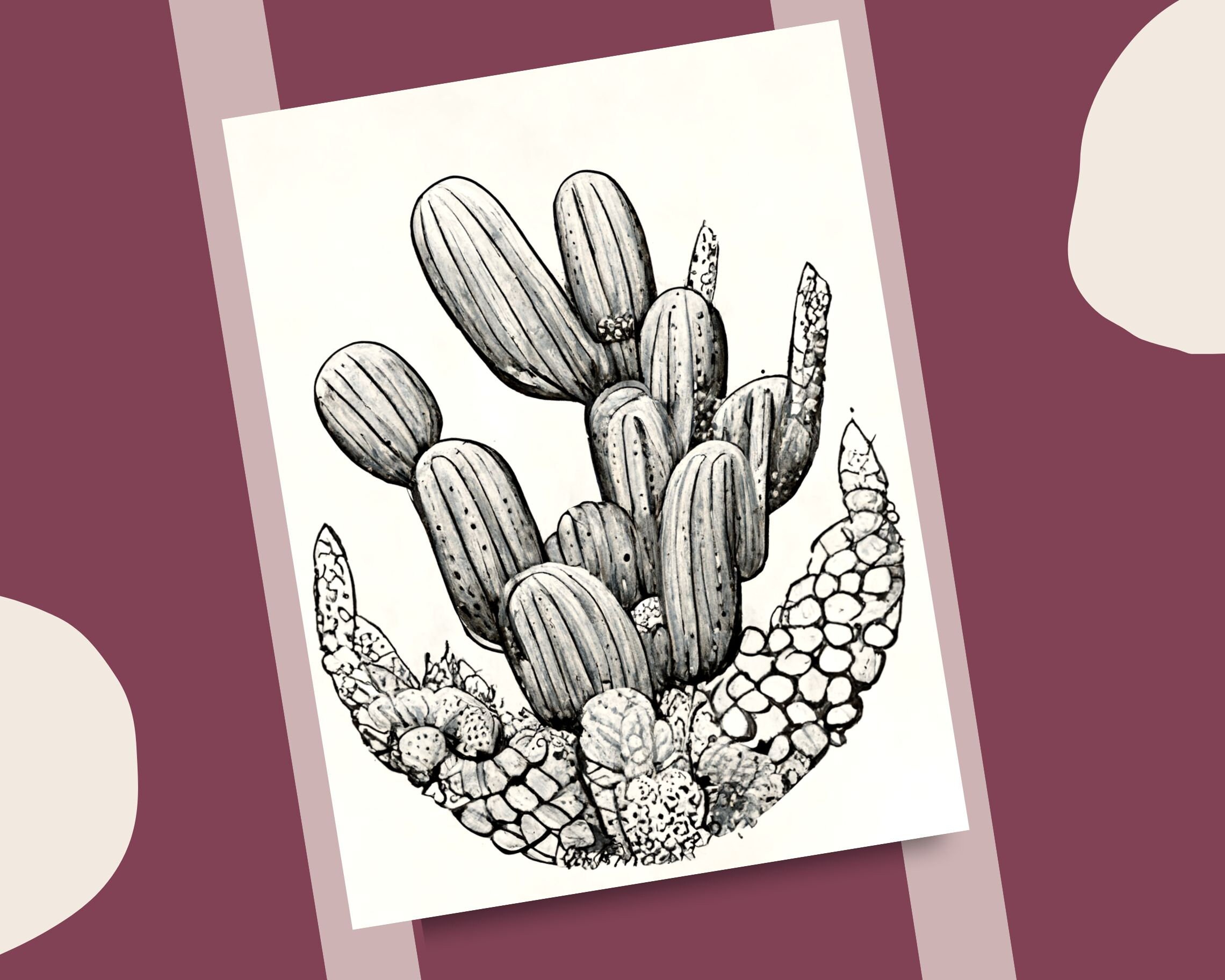 10 Cactus Coloring Pages Realistic Cacti Printable Coloring - Etsy