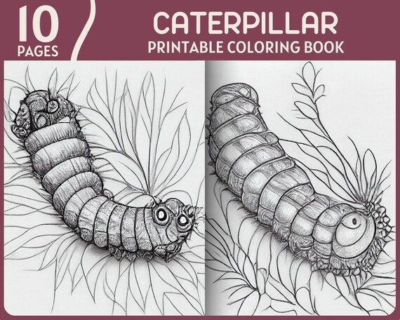 Caterpillar Coloring Pages