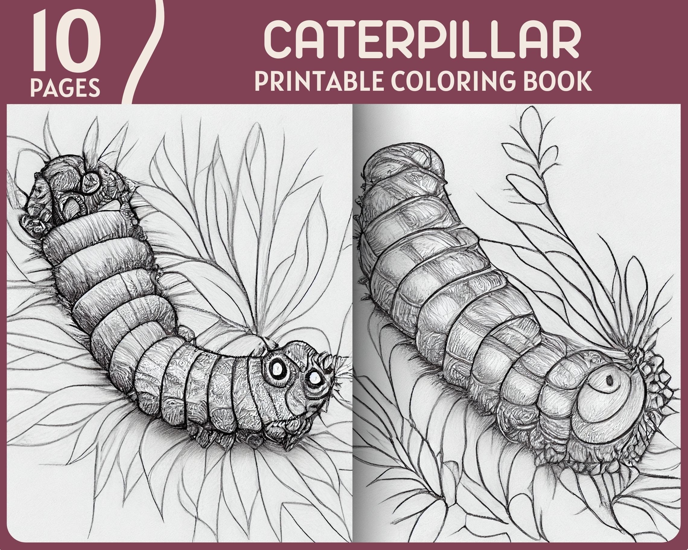 Caterpillars Coloring Books