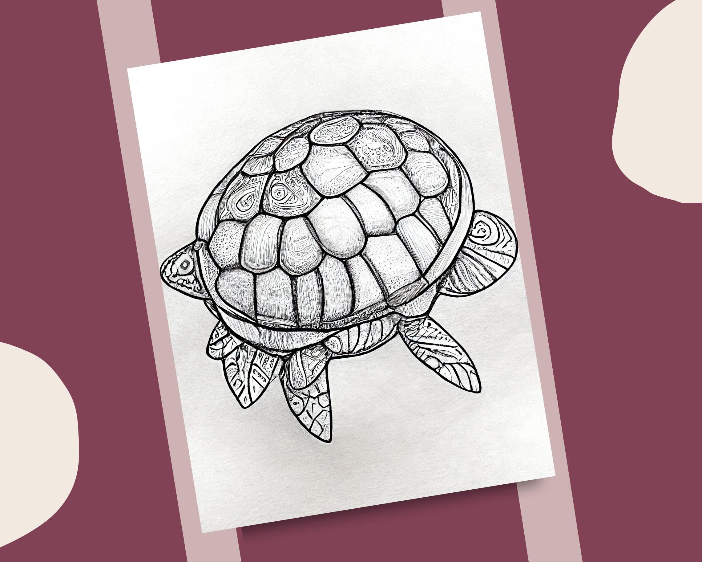 10 Turtle Shells Coloring Pages Realistic Turtles Printable Coloring ...