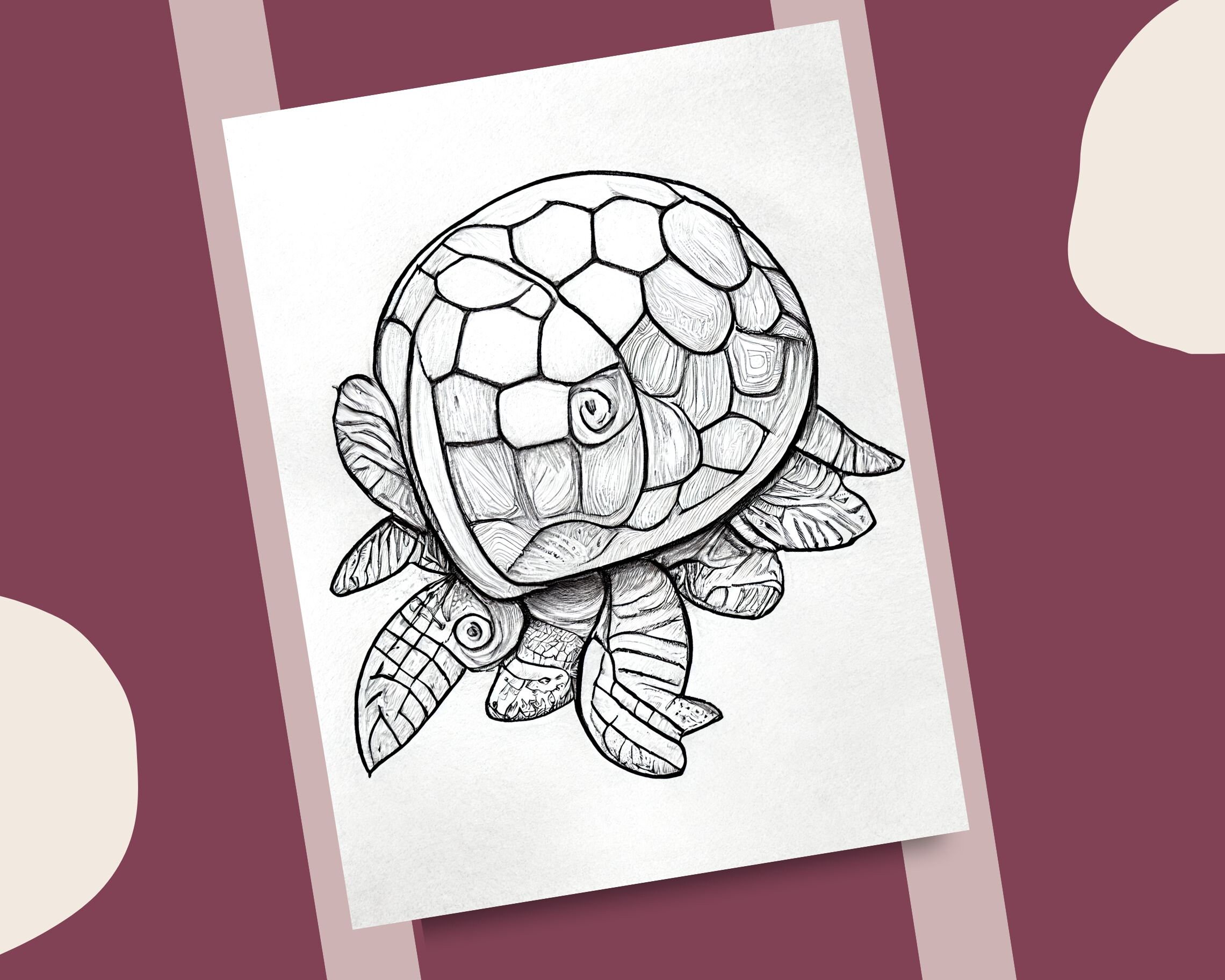 10 Turtle Shells Coloring Pages Realistic Turtles Printable Coloring ...