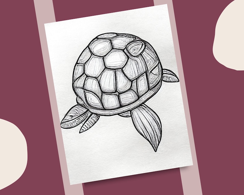 10 Turtle Shells Coloring Pages Realistic Turtles Printable Coloring ...