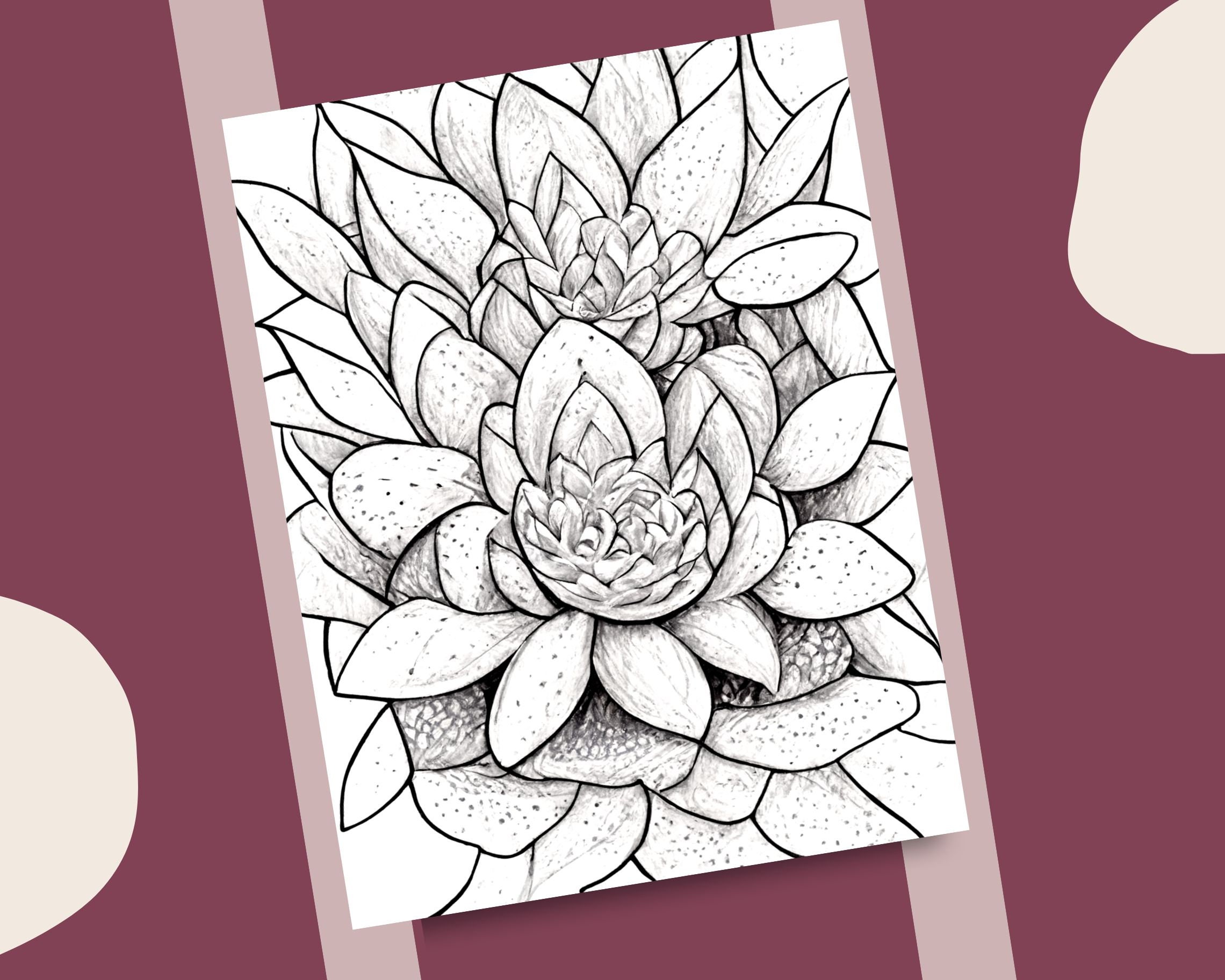 10 Succulents Coloring Pages Succulent Plant Nature Printable Coloring ...