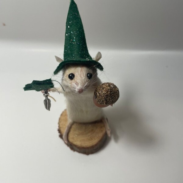 Mouse Wizard - Etsy