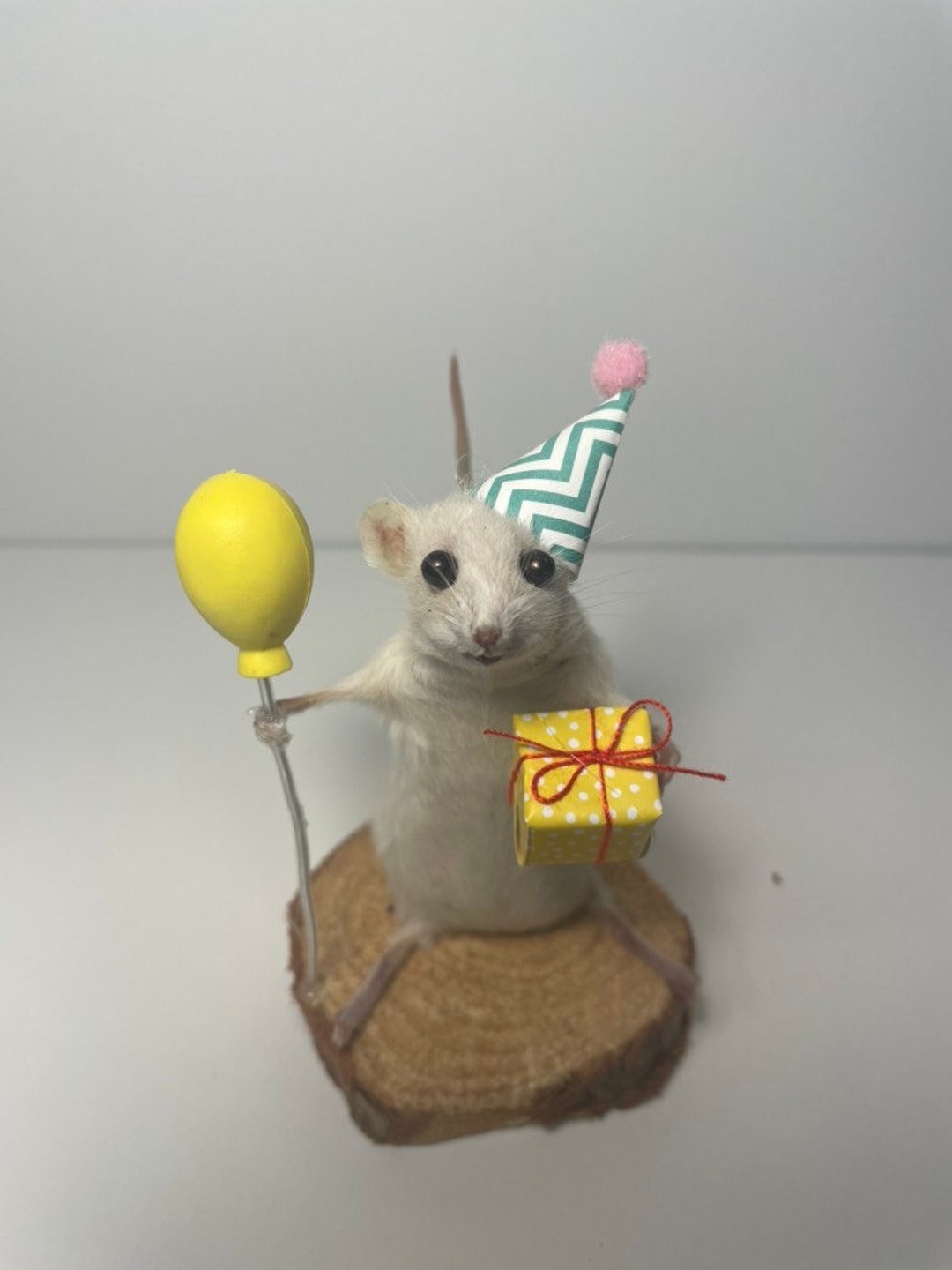 Taxidermy Mouse Birthday Party - Etsy
