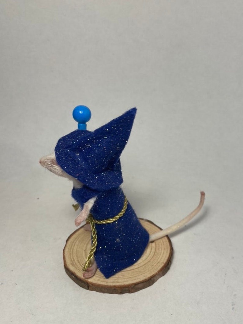 Taxidermy Magician Sorcerer Mouse - Etsy