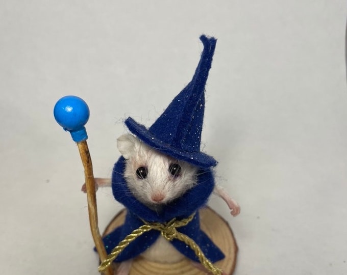 Taxidermy Magician Sorcerer Mouse - Etsy