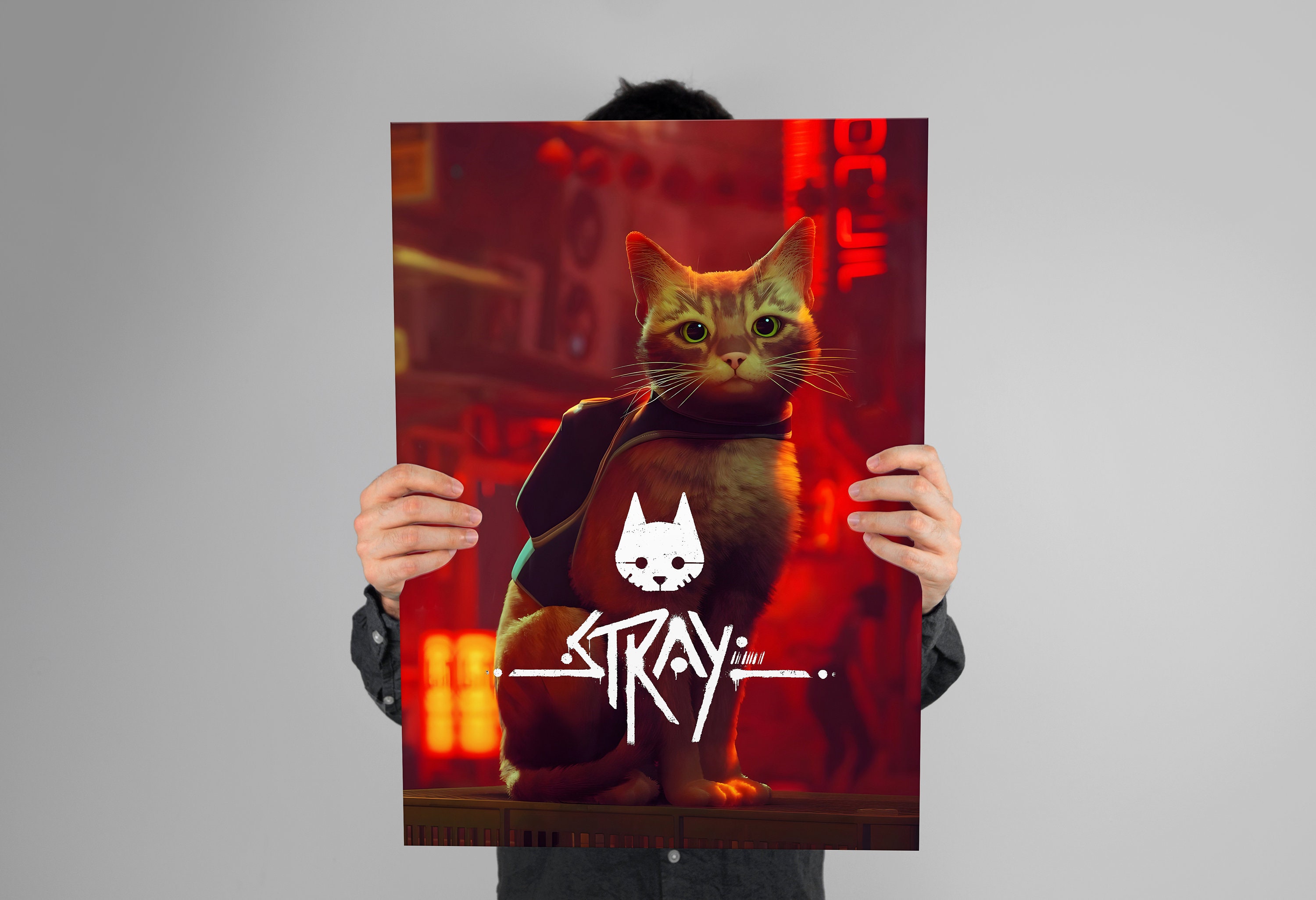 Stray Indie Game Poster Gaming Poster HD Color Game - Etsy