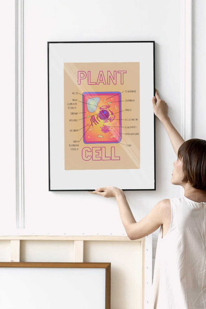 Cell Structure Posters Diagram A-level Biology Revision - Etsy