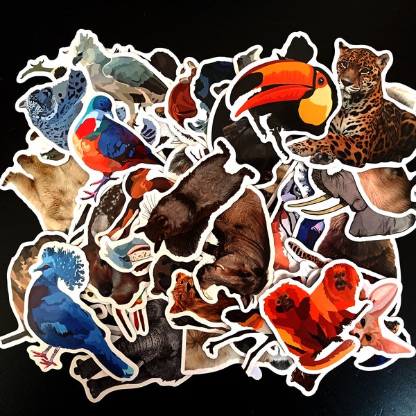 Zoo Decals - Etsy