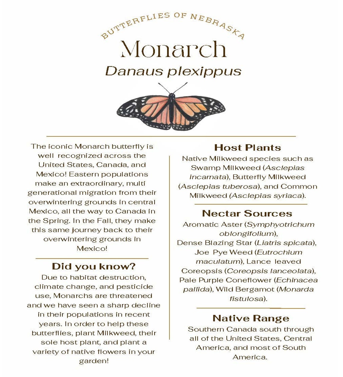 Monarch Butterfly Educational Coloring Book Digital Printout for ...