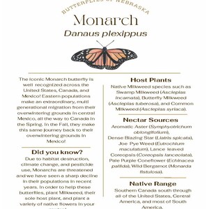 Monarch Butterfly Educational Coloring Book Digital Printout for ...