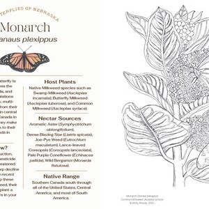 Monarch Butterfly Educational Coloring Book Digital Printout for ...
