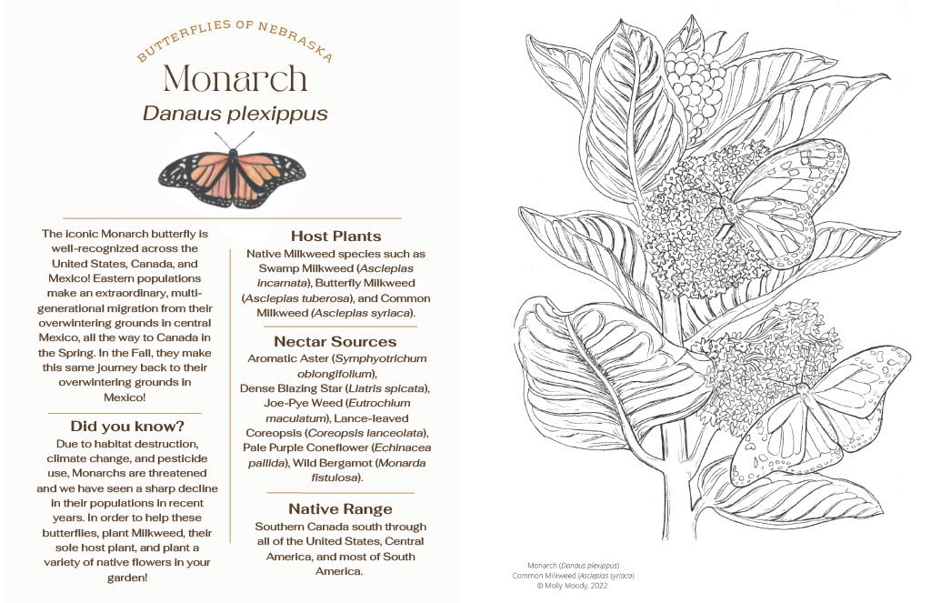 Monarch Butterfly Educational Coloring Book Digital Printout for ...