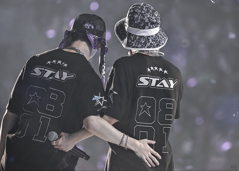 Stray Kids Logo Shirt Pilot Stray Kids T-shirt SKZ Shirt - Etsy