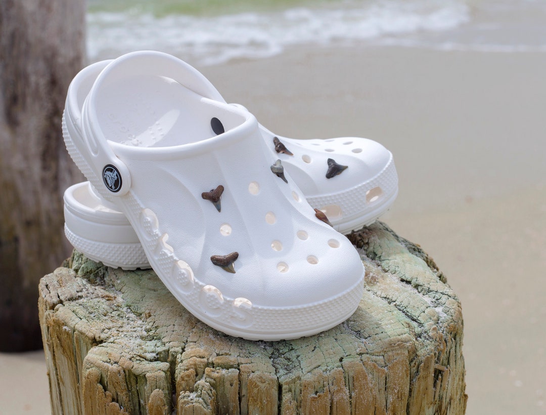 Shoe Charm Croc Attachment Shark Teeth Fossil - Etsy