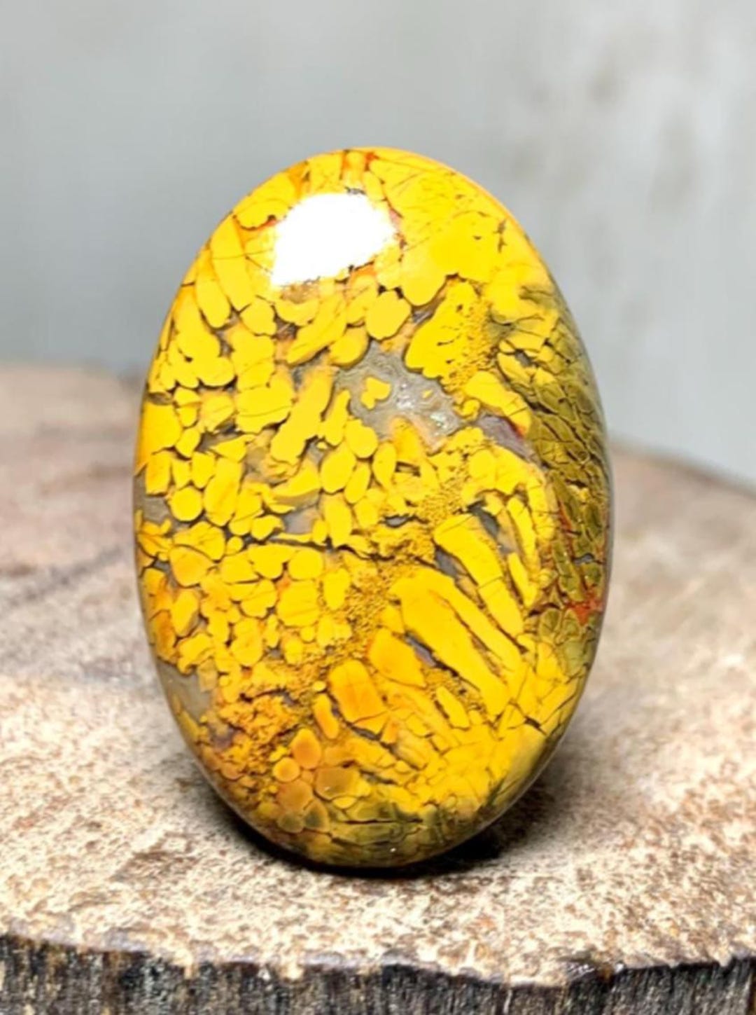 53 Cts Beautiful Fire Plume Agateloos Cabochon Oval Shape Gemstone ...