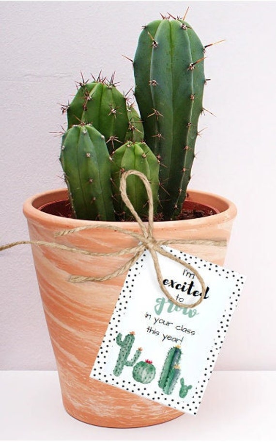 Excited to Grow in Your Class This Year Gift Tag Plant - Etsy