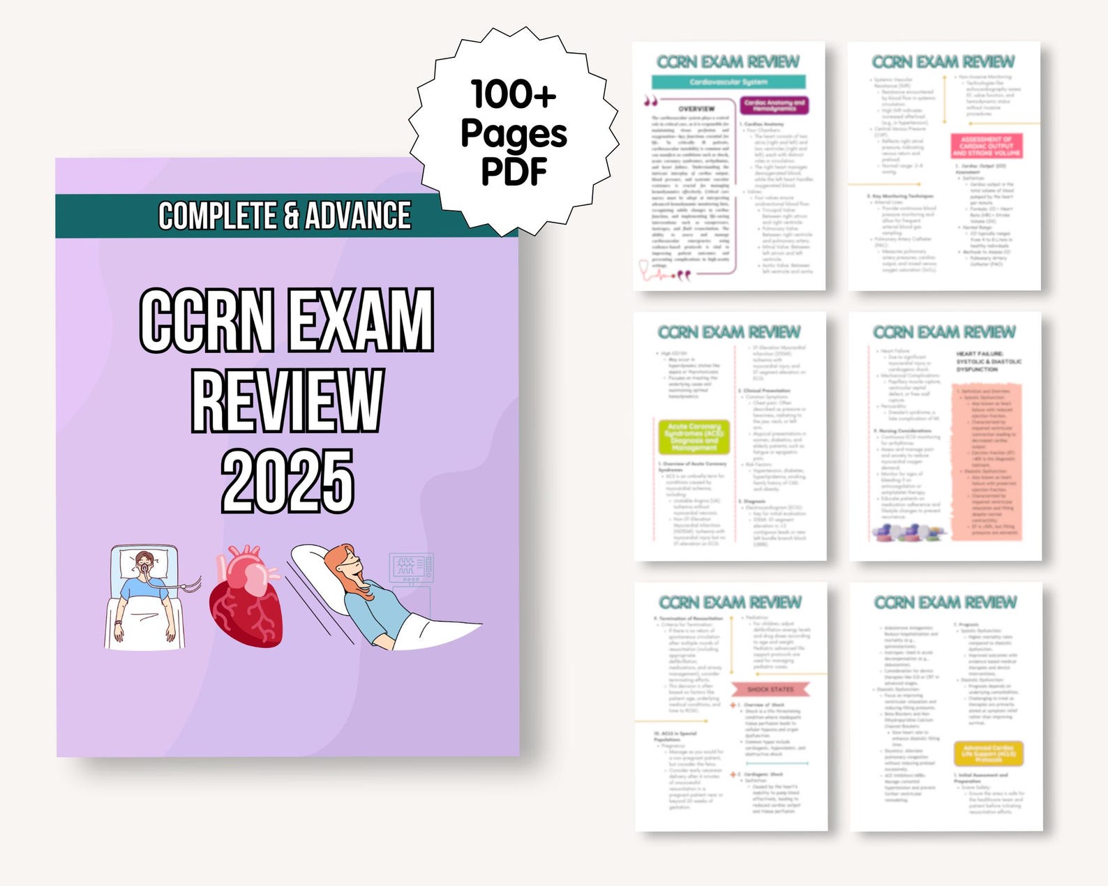 CCRN Exam Review 2025: Critical Care Study Guide (digital Download) - Etsy