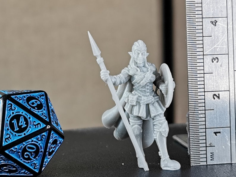 Amazon Elf by Vae Victis Miniatures 28mm Fantasy Female - Etsy UK