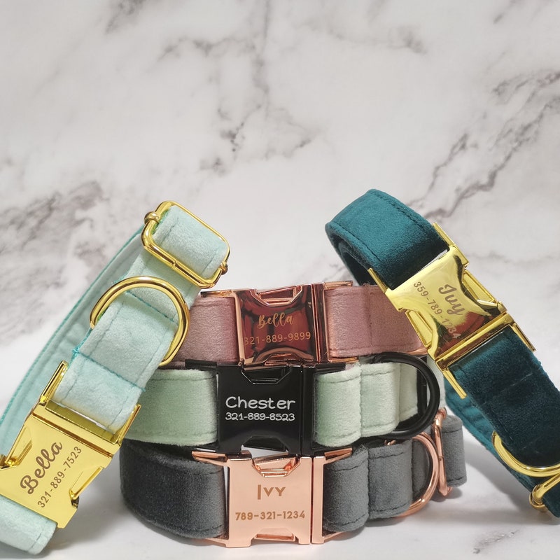 Designer Dog Collars - Etsy