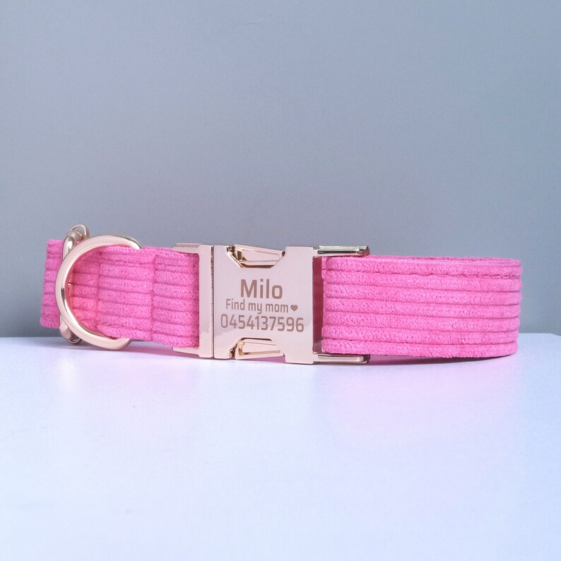 Personalized Dog Collar With Name Tag, Custom Buckle Dog Collar ...