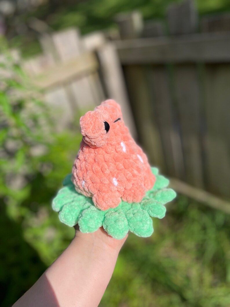 Handmade Cute Crochet Strawberry Frog / Cute, Good Gift for Frog Lovers ...