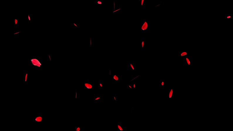 Rose Petals Stream Alert - Red Flower Petal Rain - Full Screen Animated ...