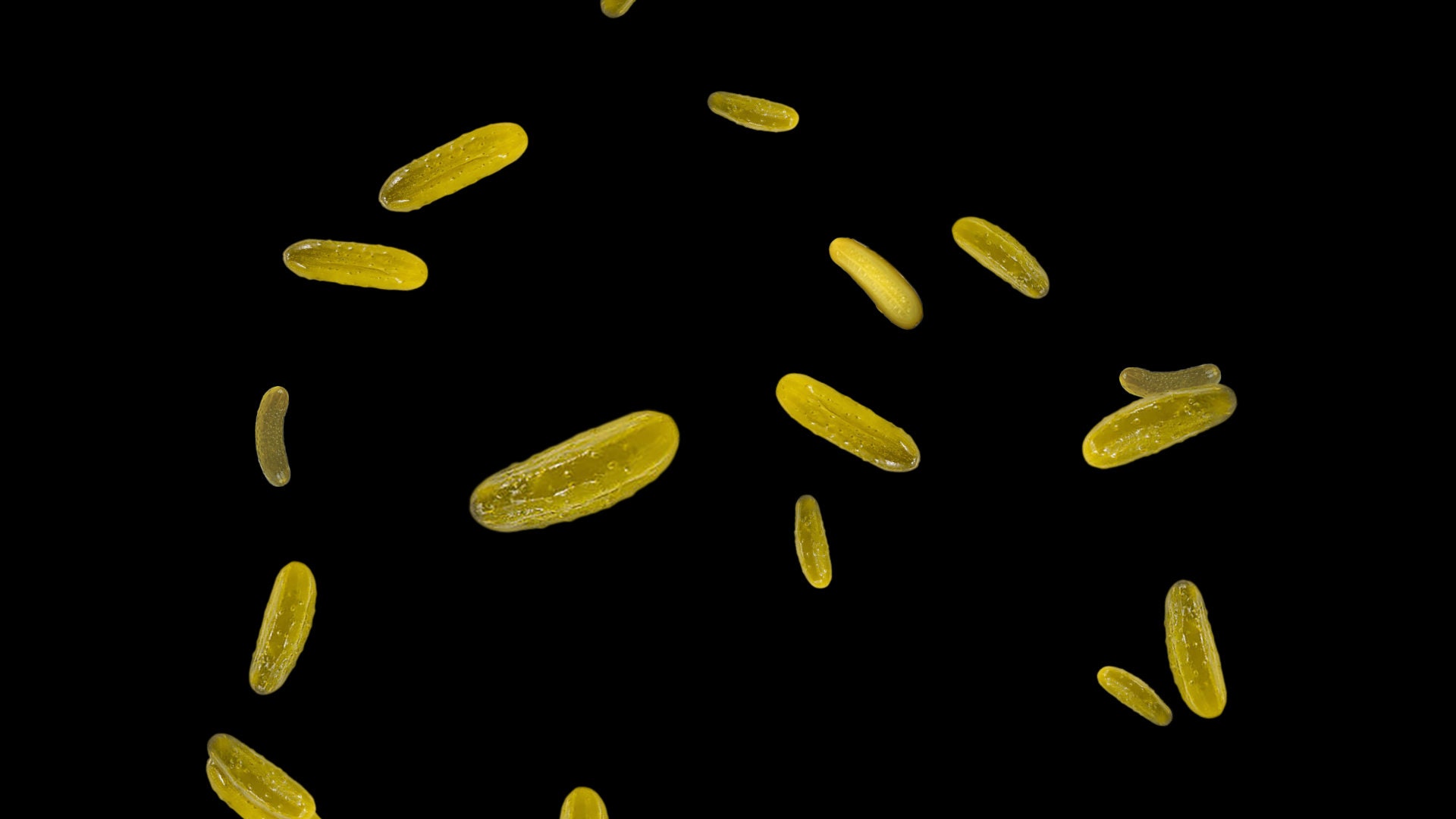 Pickles Rain Stream Alert - Animated Pickle Shower Overlay With ...