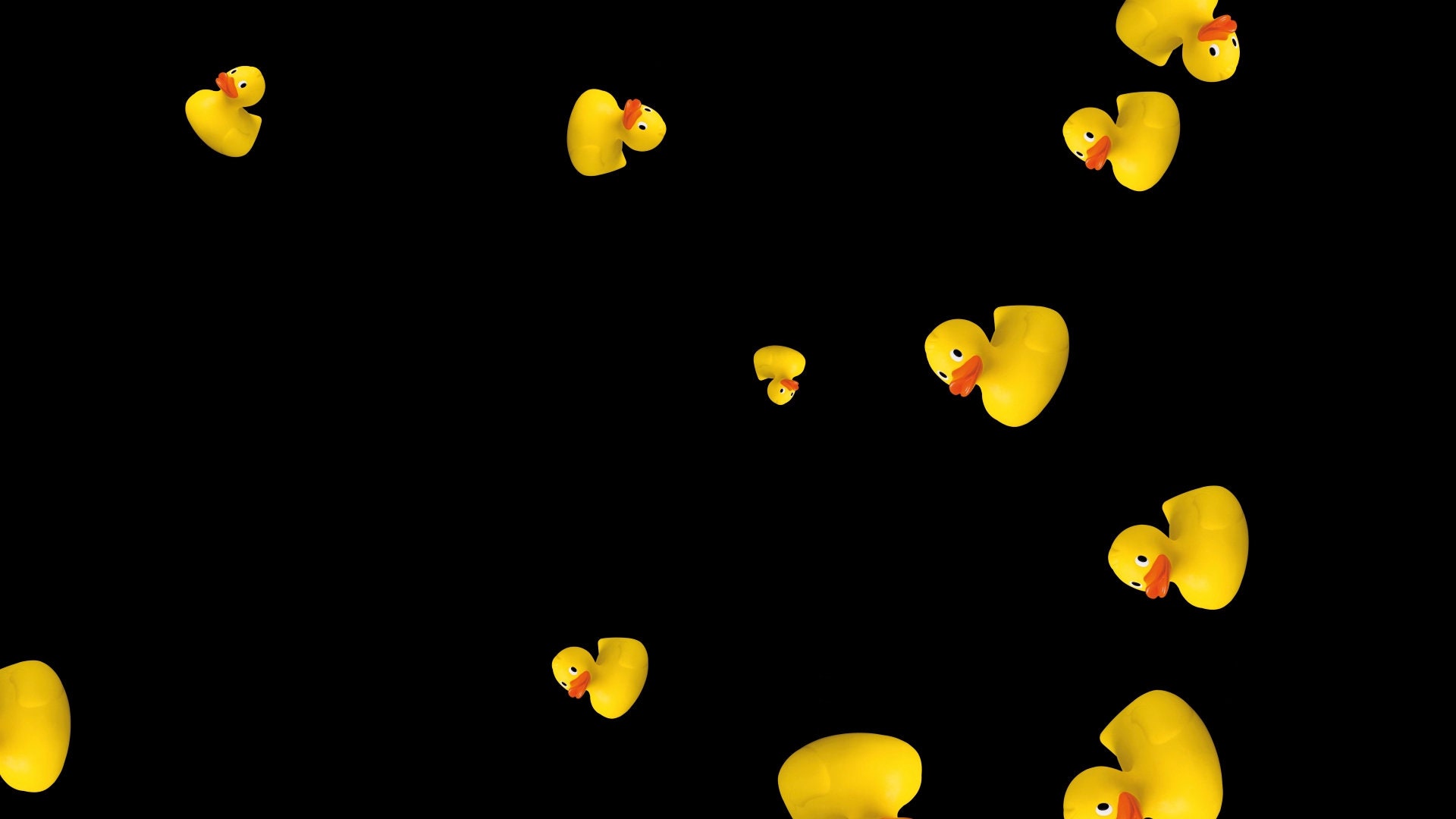 Rubber Ducky Drop - Animated Duck Shower Stream Alert - Full Screen ...