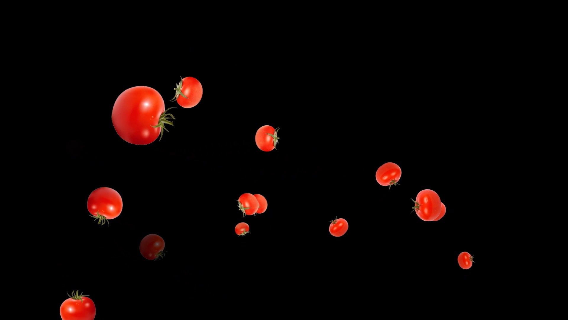 Tomato Toss Alert - Full Screen Flying Tomatoes With Transparent ...