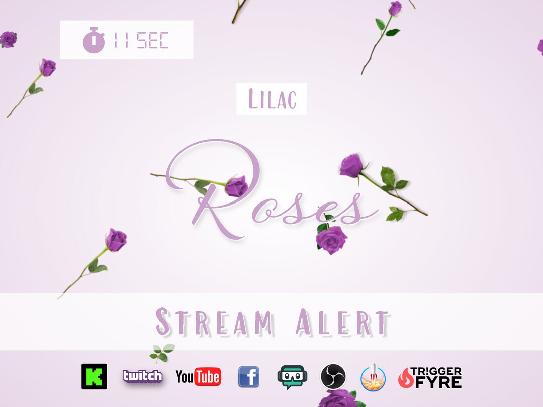 Lilac Roses Stream Alert - Full Screen Animated Flower Overlay W ...