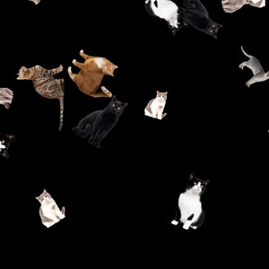 Animated loading gif with transparent background - wolftutor