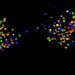 Rainbow Confetti Cannons Stream Overlay Park - Animated Party Poppers ...