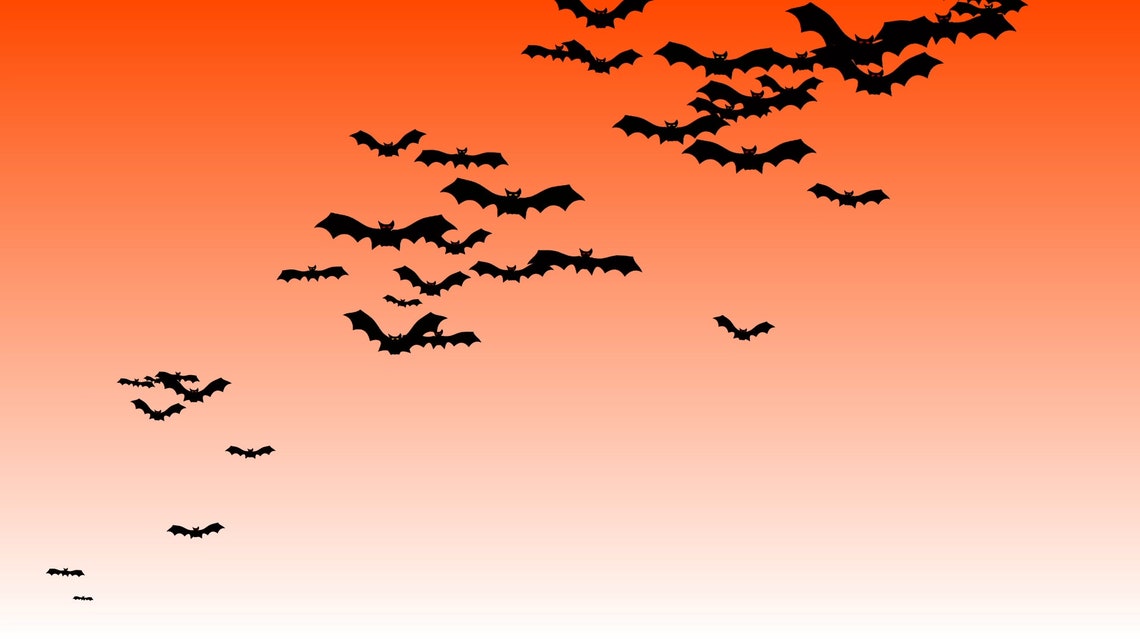 Bat Swarm Stream Alert - Animated Full Screen Overlays With Transparent ...