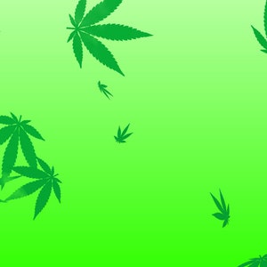 Cannabis Stream Alert Animated Weed Overlay Bundle Full Screen ...