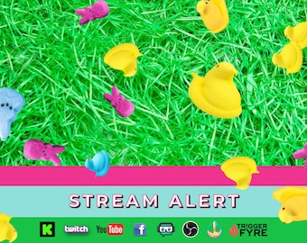 Easter Marshmallow Shower Stream Alert - Full Screen 1920x1080 Overlay ...