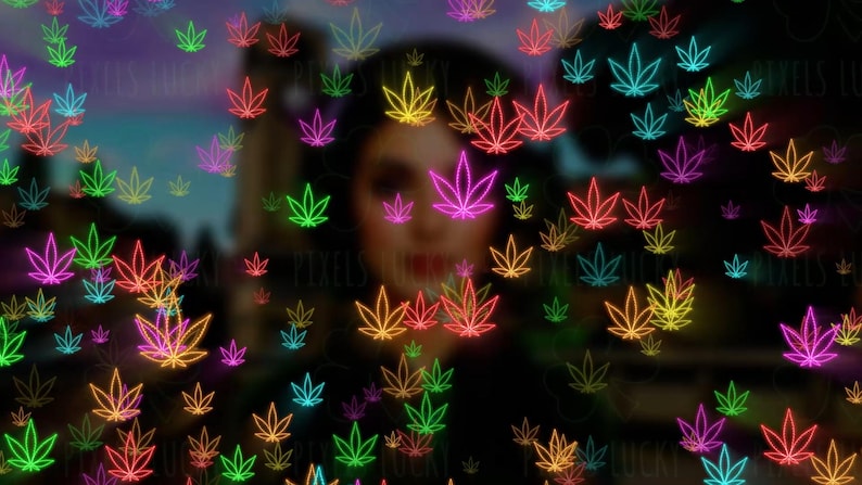 Neon 420 Stream Alert - Full Screen Animated Overlay - Transparent ...