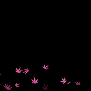 Pink 420 Stream Alert - Cute Floating Weed Leaves Animated Overlay ...