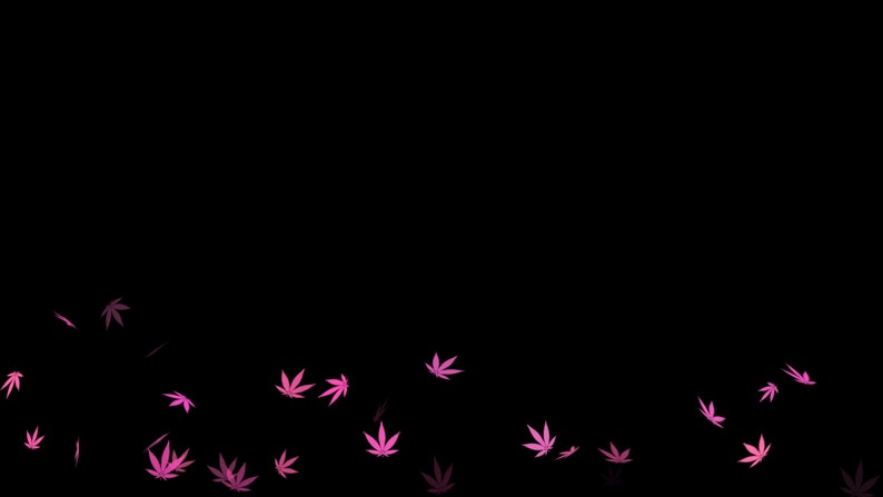Pink 420 Stream Alert Cute Floating Weed Leaves Animated Overlay Full ...