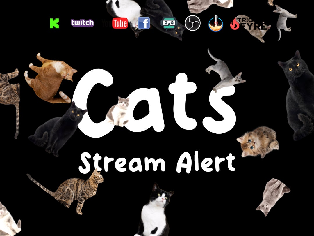 Cats Stream Alert - Full Screen Animated Kitty Shower Overlay W ...