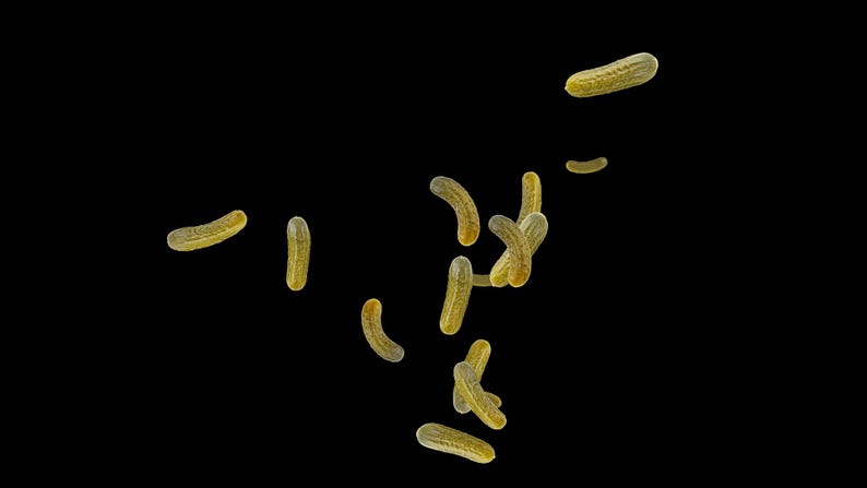 Pickle Eruption Stream Alert - Animated Overlay With Transparent ...