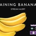 Raining Bananas Stream Overlay - Animated Alert - Banana Drop - Full ...